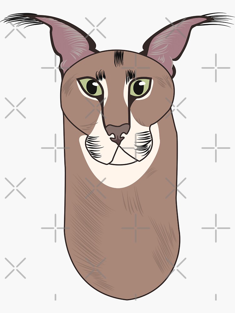 Pegatina «FLOPPA de dibujos animados» de Rzera- | Redbubble