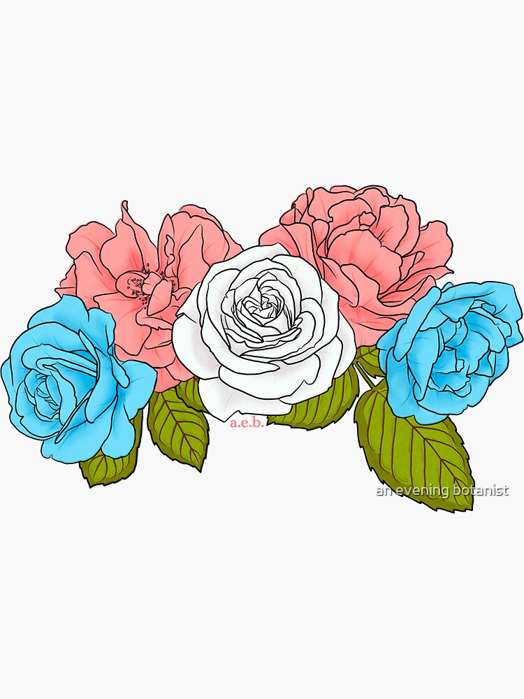 "Trans Pride roses" Sticker for Sale by EveningBotanist | Redbubble