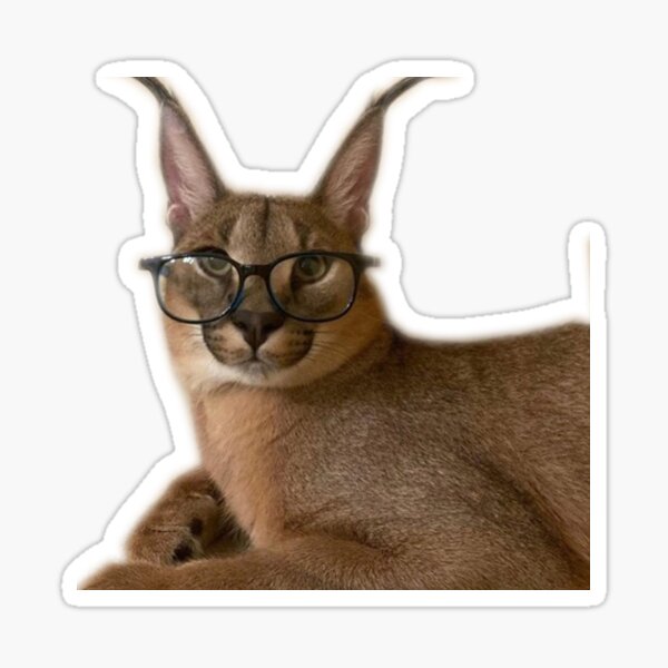 Big Floppa Meme Cute Gifts & Merchandise | Redbubble