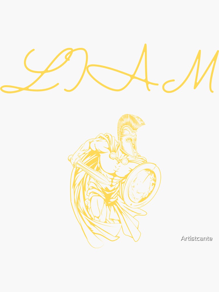 "Liam " Sticker for Sale by Artistcante | Redbubble