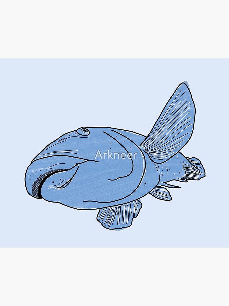 "Happy Blue Groper" Poster for Sale by Arkneer | Redbubble