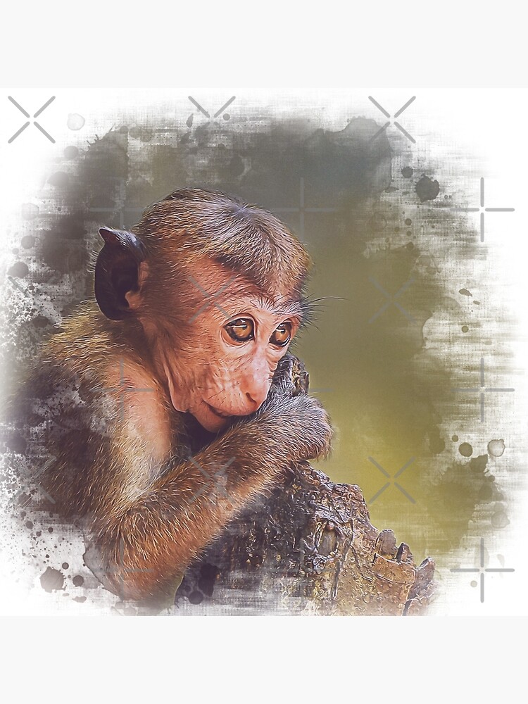 "Innocent Baby monkey " Poster for Sale by sobanraj | Redbubble