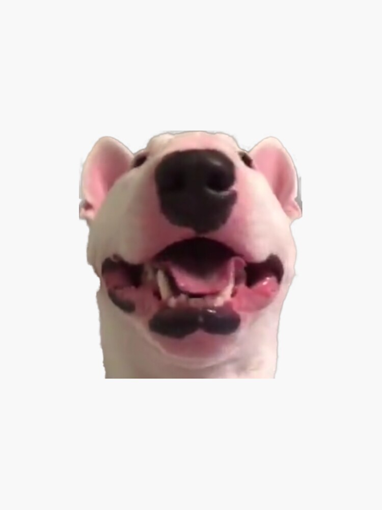 "Happy Walter Smiles" Sticker for Sale by RarePNGs | Redbubble