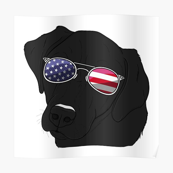 "American Black Labrador " Poster by rmcbuckeye | Redbubble