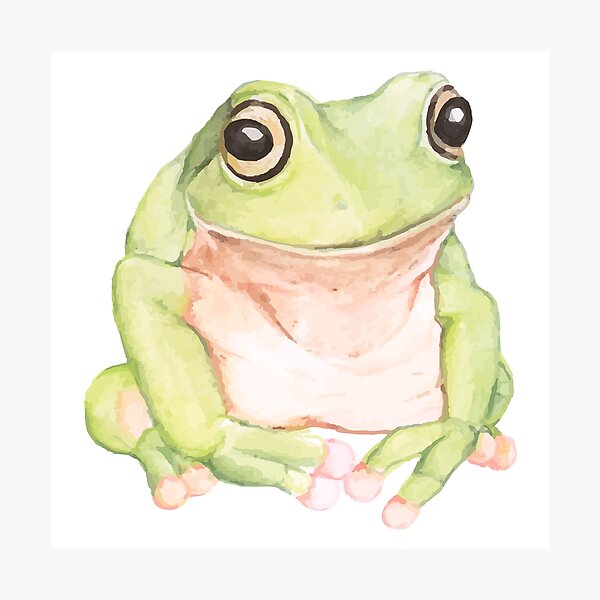 "Adorable Frog frogcore cottagecore aesthetic" Photographic Print by ...