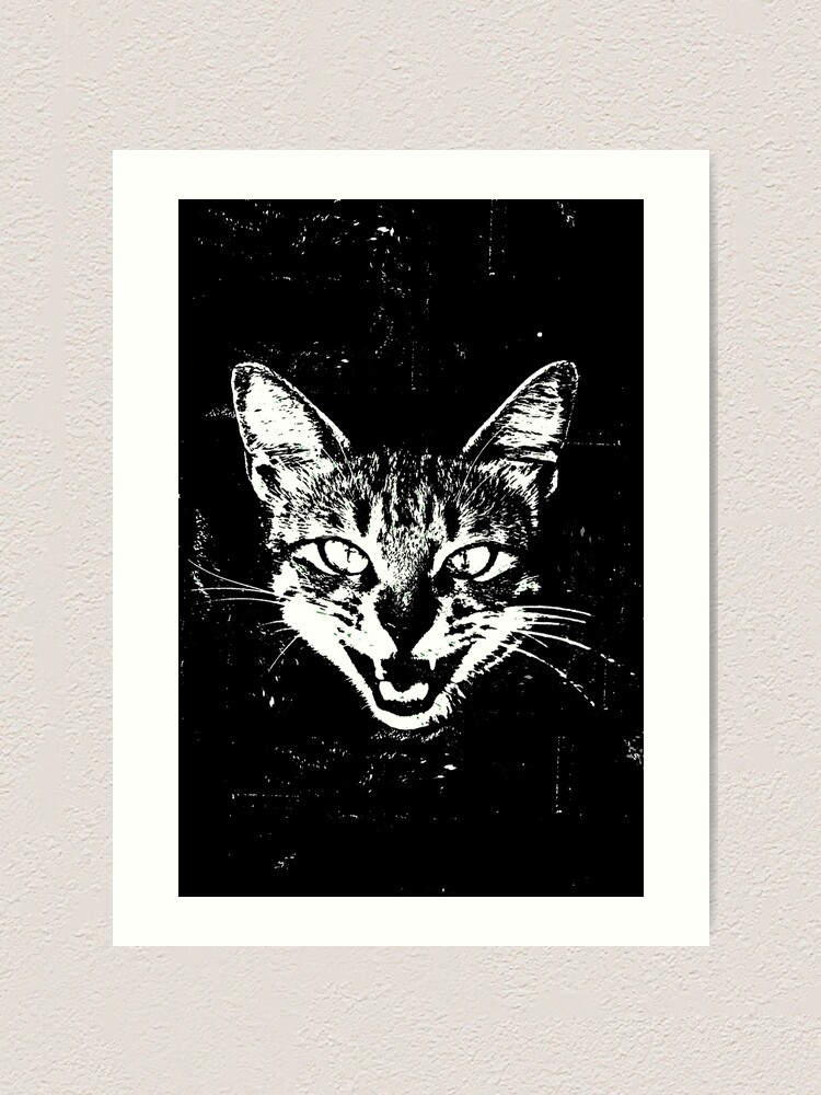 "Angry cat meowing face" Art Print for Sale by KirankDesigns | Redbubble