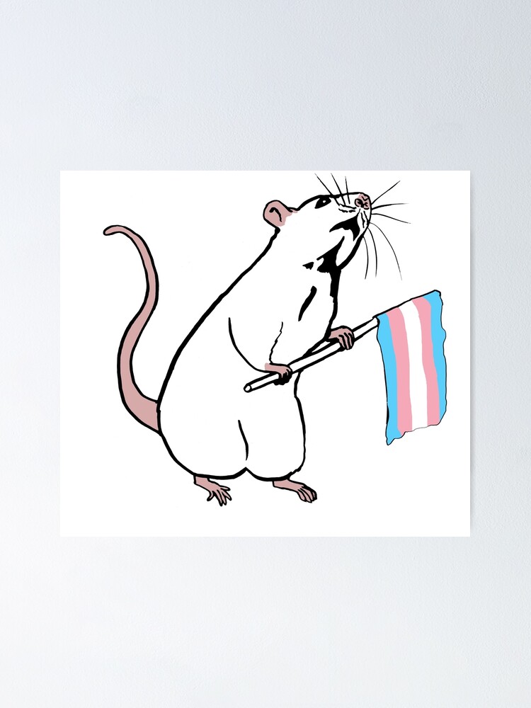 "Trans Pride Rat" Poster by teaandink | Redbubble