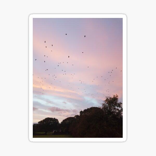 "Pink Flight" Sticker for Sale by TruffleDesigns | Redbubble