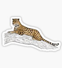 Animal Jaguar Stickers | Redbubble