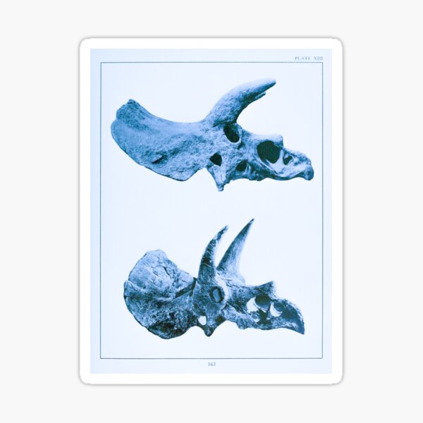 "Dinosaur Fossils" Sticker for Sale by utechts-art | Redbubble