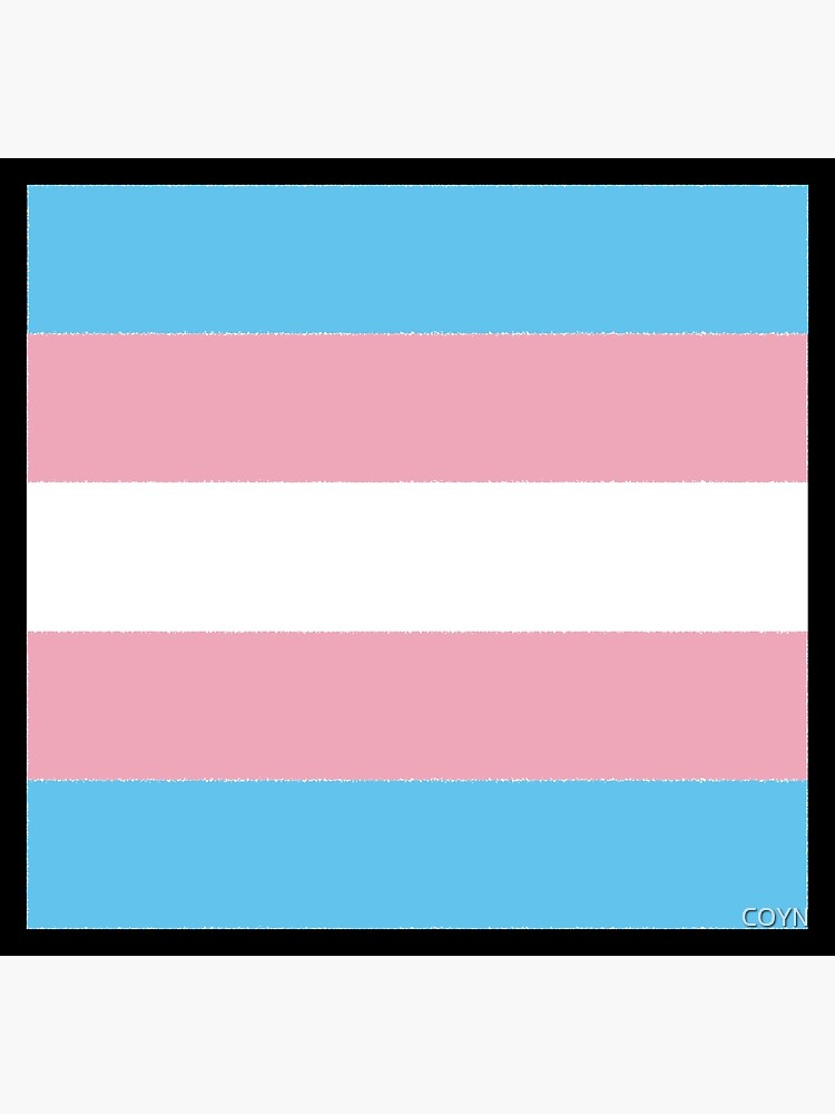 "Trans Flag" Poster by COYN | Redbubble