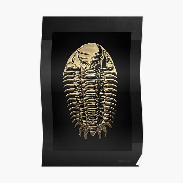 Poster « Dossier fossile - Trilobite doré sur fond noir # 3 », par ...