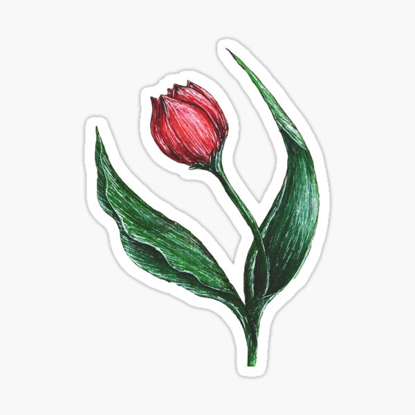 "Rose Bud " Sticker for Sale by san-shroom | Redbubble