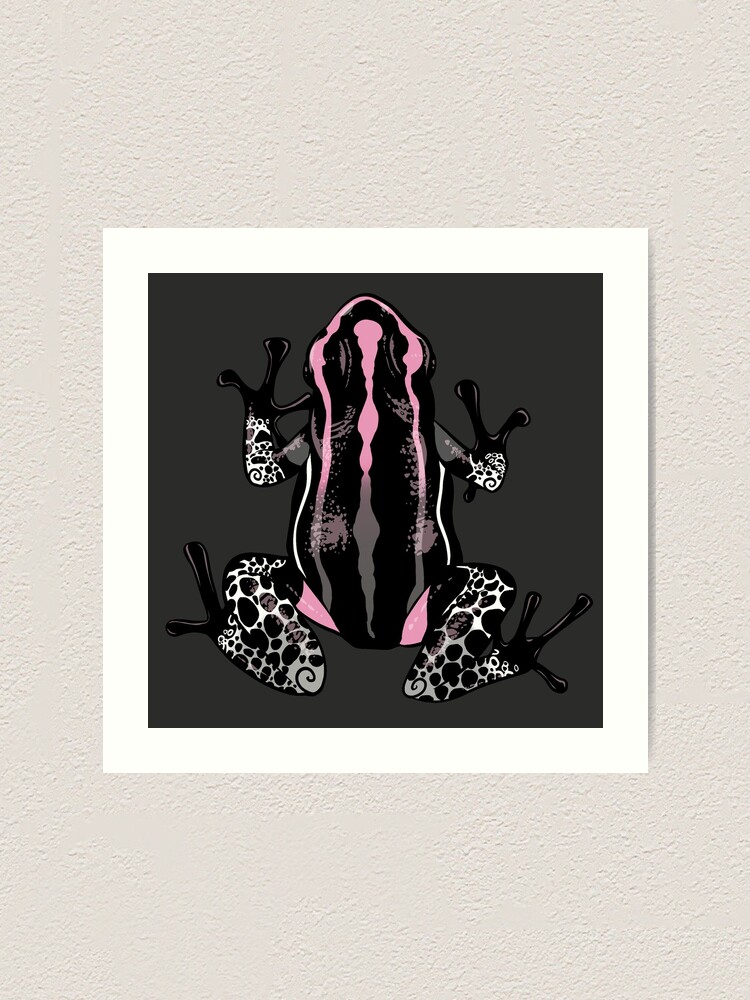 "Demigirl Pride Dart Frog - Subtle GSD / LGBTQIA+ pride flag frogs ...