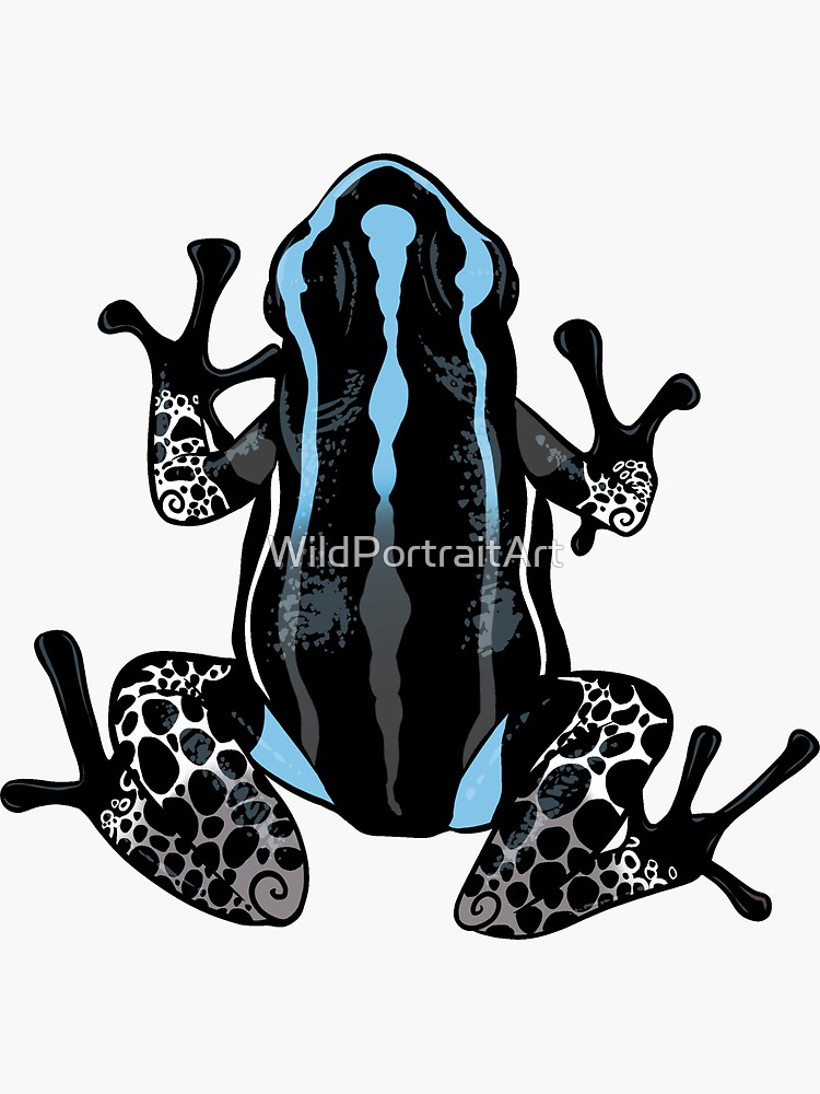 "Demiboy Pride Dart Frog - Subtle GSD / LGBTQIA+ pride flag frogs ...