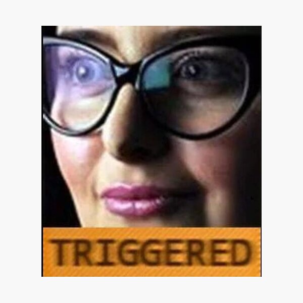 "TRIGGERED FEMINIST MEME" Photographic Print for Sale by Bauzmann ...