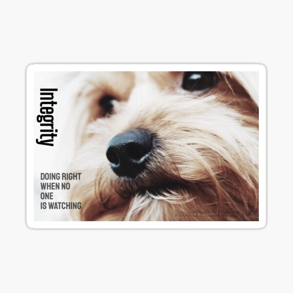"Integrity" Sticker for Sale by VincentVanCole | Redbubble