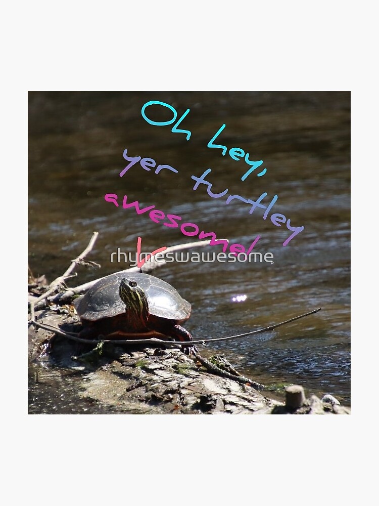 "you are awesome (turtle)" Sticker for Sale by rhymeswawesome | Redbubble