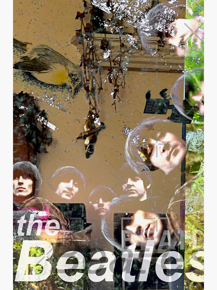 "fab four | graphic print " Sticker for Sale by S-Timmons | Redbubble