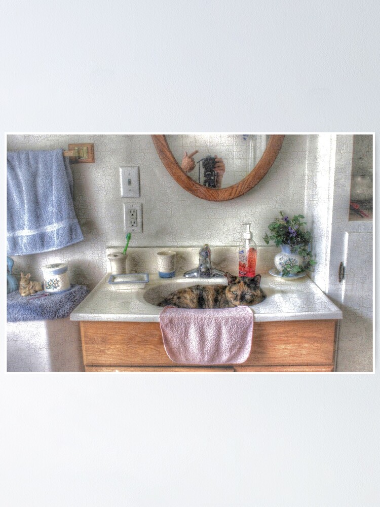 "Lets Get Comfy" Poster by wiscbackroadz | Redbubble