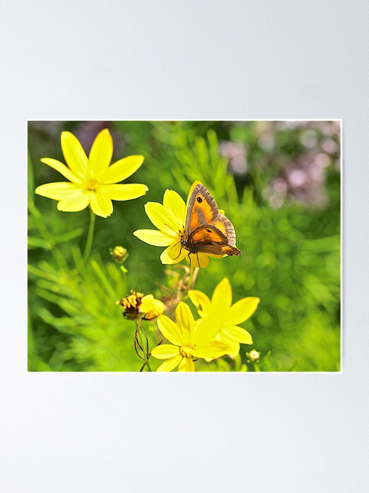 "Gatekeeper" Poster for Sale by JohnThurgood | Redbubble