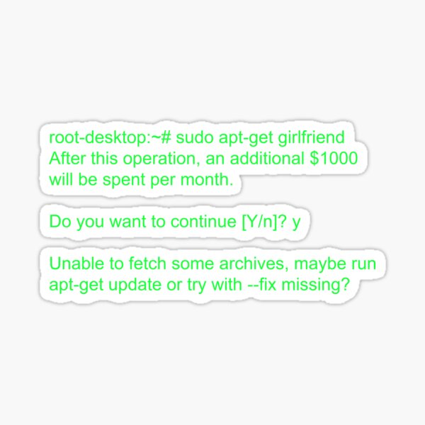 "Programmer cannot get a girlfriend" Sticker for Sale by TestThisOut3 ...
