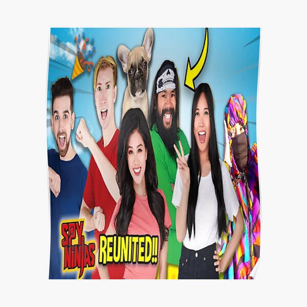 Spy Ninja Posters | Redbubble