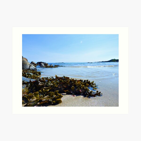 "Isle of Tiree Scotland Beach View" Art Print for Sale by ...