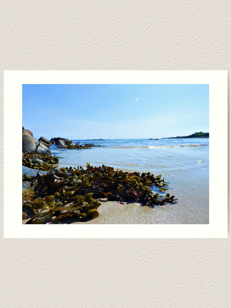 "Isle of Tiree Scotland Beach View" Art Print for Sale by ...