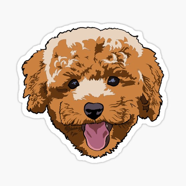 " Cute Fluffy Mini Golden doodle" Sticker for Sale by LeahcarsArt ...