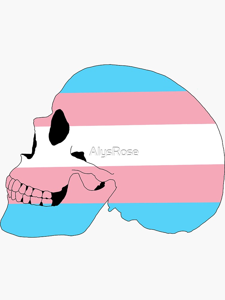 "Pride Skull - Transgender Pride Flag" Sticker by AlysRose | Redbubble