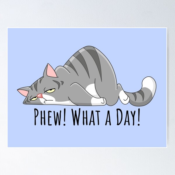 "Phew! What a Day" Poster for Sale by Tee4Tech | Redbubble