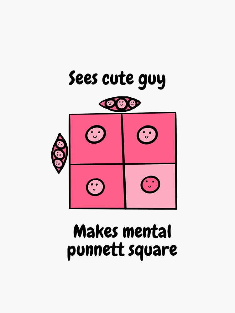 Punnett Square Quotes Dna Punnett Squares | TPT
