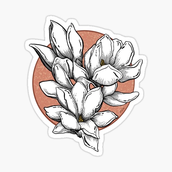 "Magnolias" Sticker for Sale by MFK-Draws | Redbubble