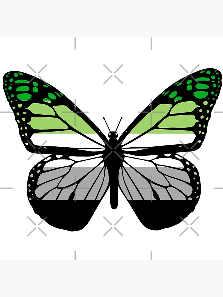 "Aromantic Pride Butterfly" Poster for Sale by enchantededits | Redbubble