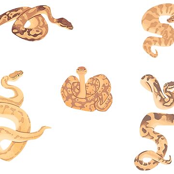 "Ball python stickers yellow pack" Sticker for Sale by Colordrilos ...