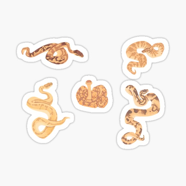 "Ball python stickers yellow pack" Sticker for Sale by Colordrilos ...
