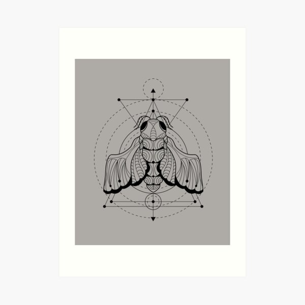 "Geometric shapes, cicadas insect" Art Print by DerSenat | Redbubble