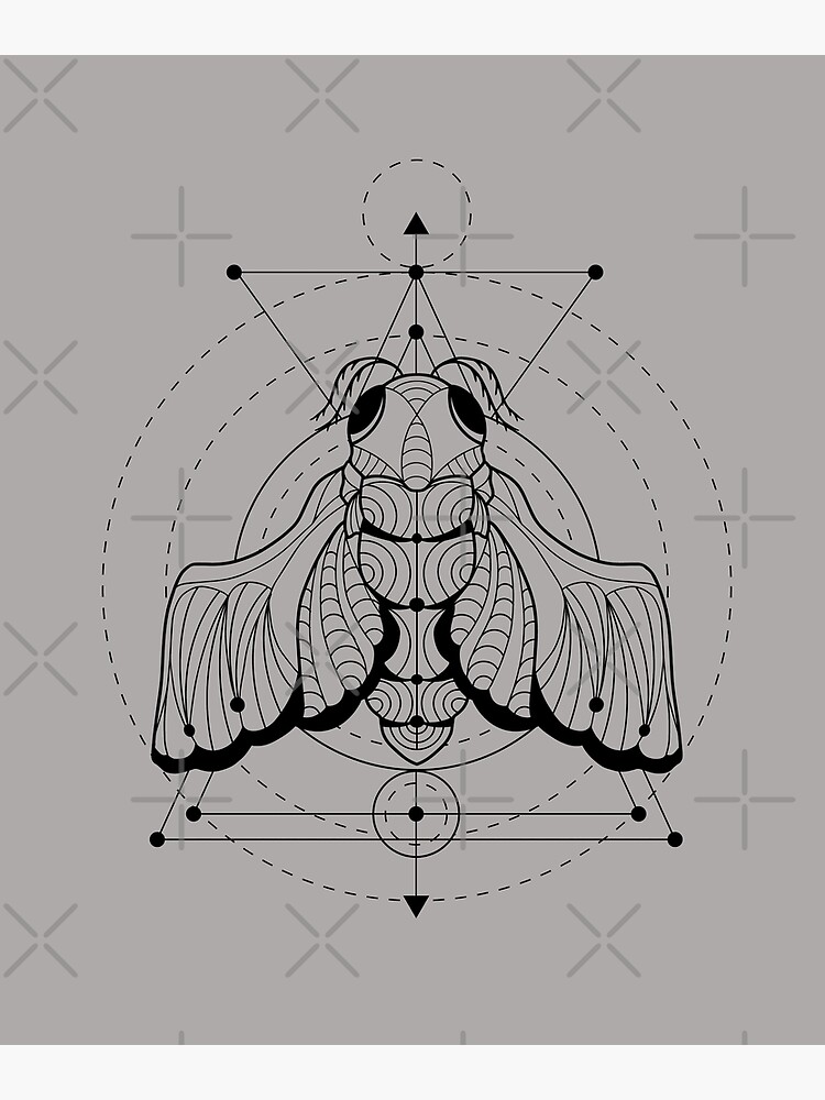 "Geometric shapes, cicadas insect" Art Print by DerSenat | Redbubble