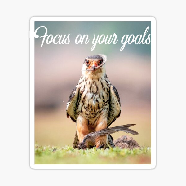 Pegatina «Concéntrese en sus metas» de Kissu29 | Redbubble