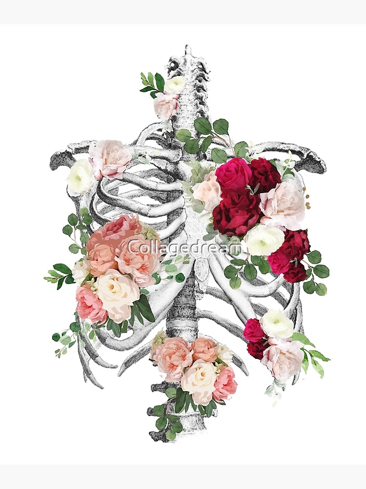 "Anatomy, ribcage, rib cage,roses bloom spring" Poster for Sale by ...