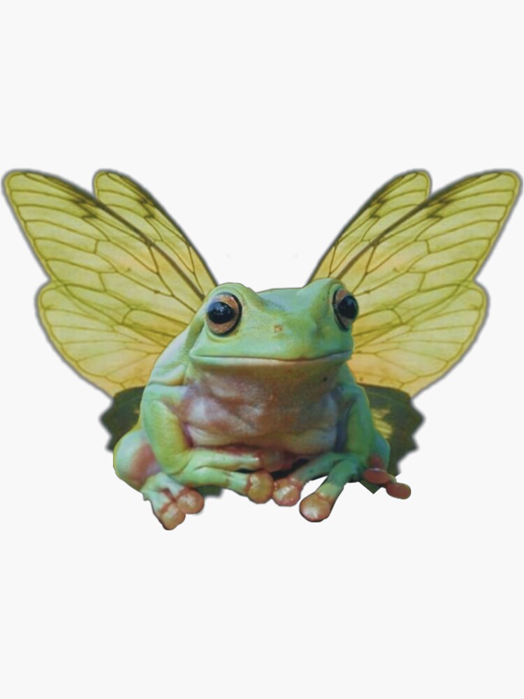 Pegatina «rana con alas de hada» de ella-88 | Redbubble