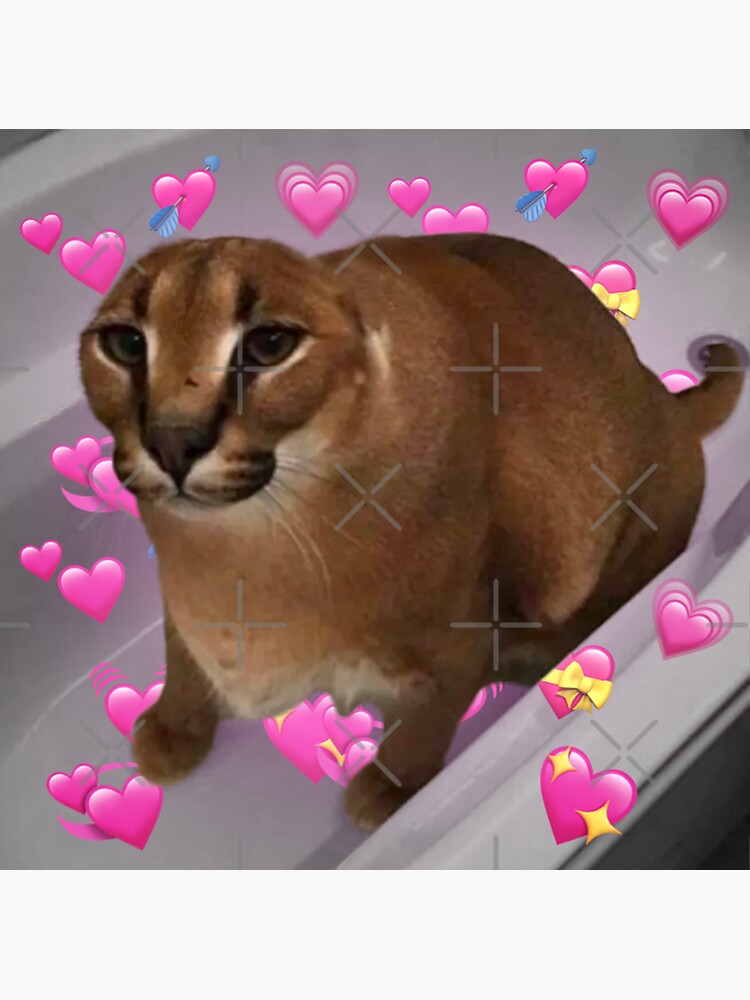 "Wholesome Floppa" Sticker for Sale by LiamJC | Redbubble