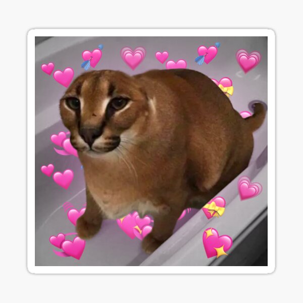 "Wholesome Floppa" Sticker for Sale by LiamJC | Redbubble