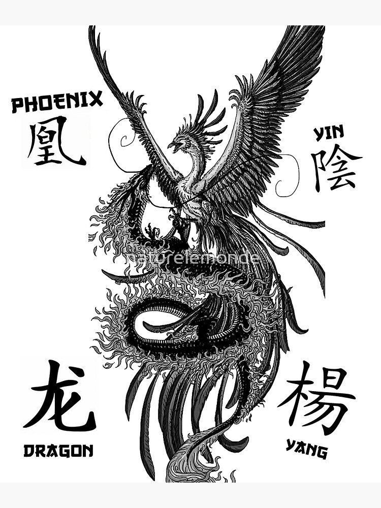 "Phoenix VS dragon symbol Chinese that mean....." Poster for Sale by ...