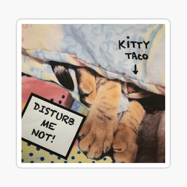 "Do Not Disturb Kitty Taco" Sticker for Sale by prunellaparsnip | Redbubble