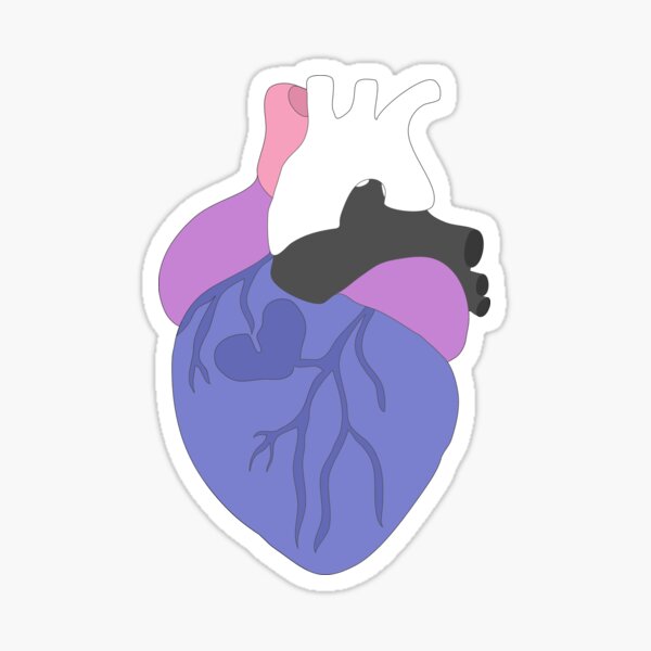 "Genderfluid Pride Anatomical Heart" Sticker for Sale by urnickle ...