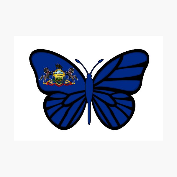 Lámina fotográfica «Mariposa de la bandera del estado de Pensilvania en ...
