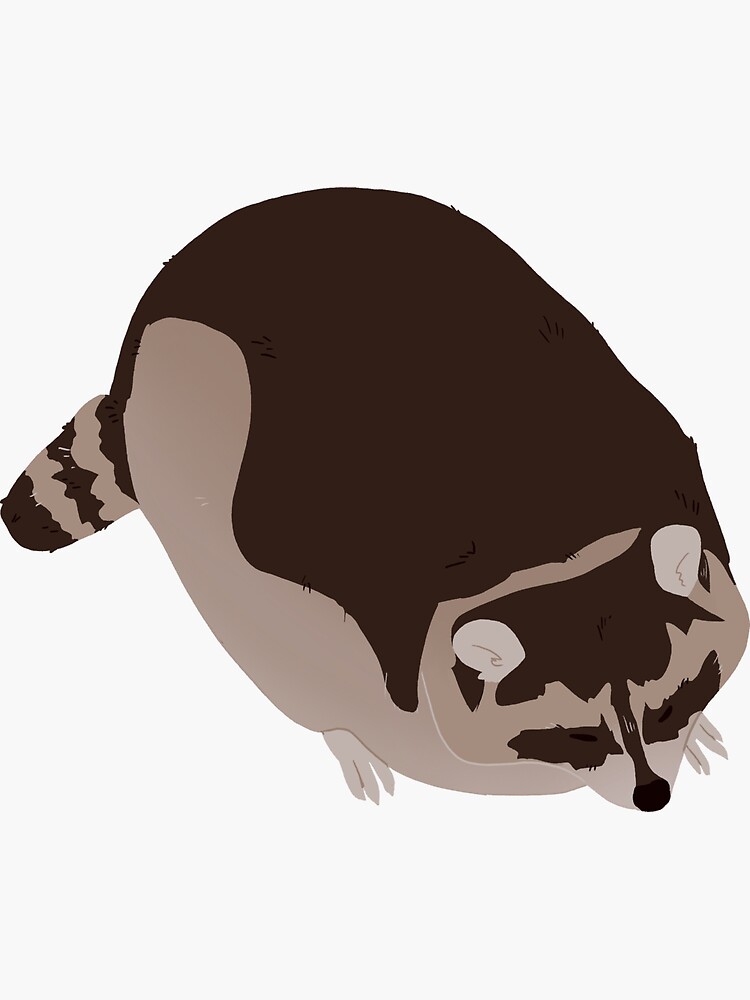 "Fat Raccoon" Sticker for Sale by gross-galaxy | Redbubble