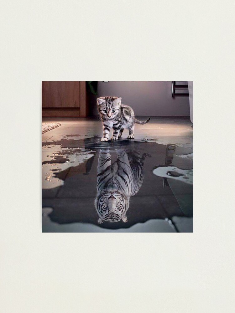 "Believe in Yourself- Kitten Tiger Puddle Mirror Reflection ...